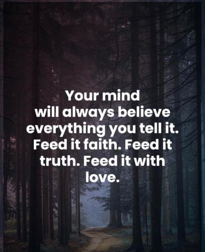 Home - Michelle Mayer